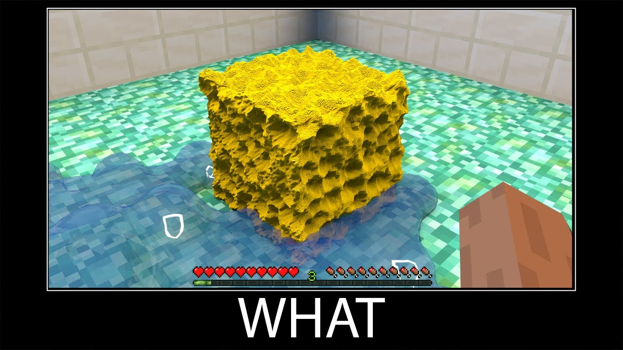 Minecraft wait what meme part 44 Realistic sponge and water - Minecraft ...