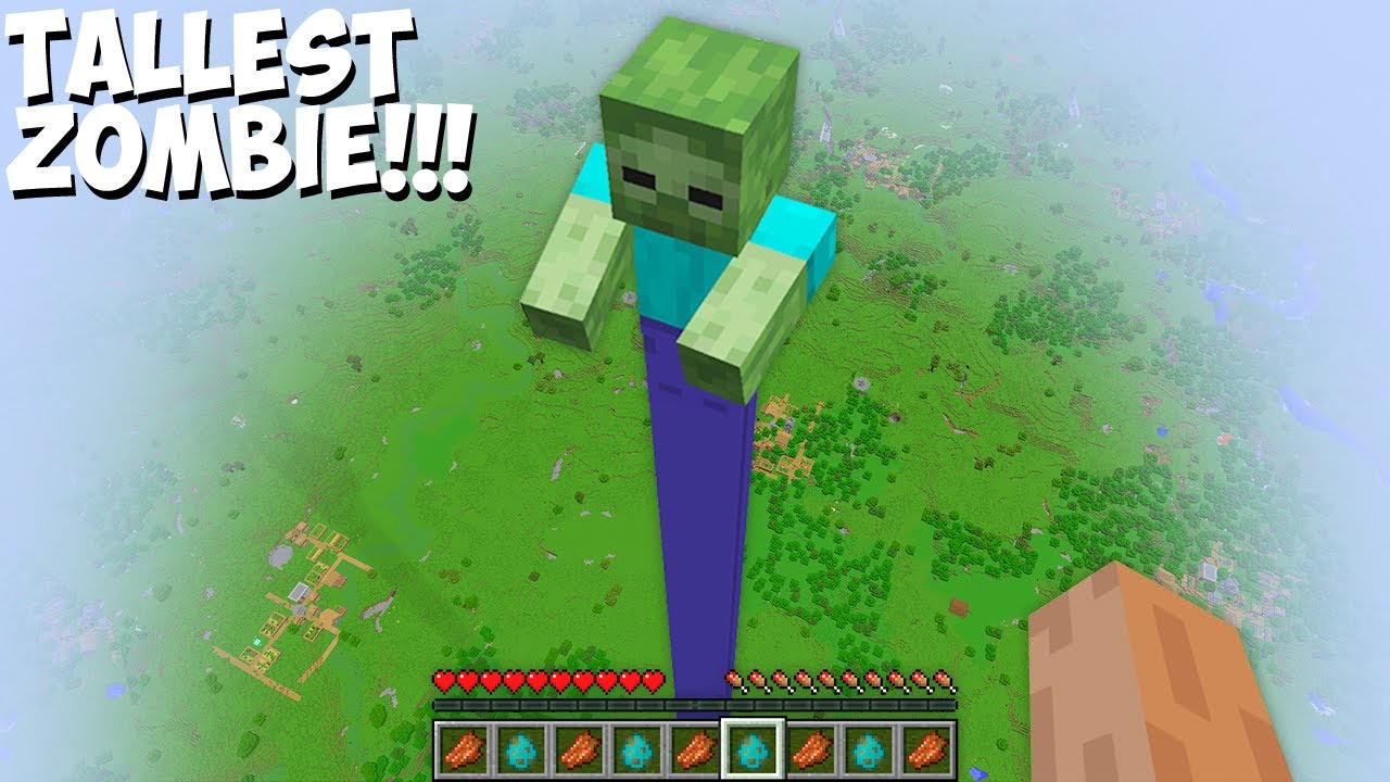 What HAPPENED to THIS MOST TALLEST ZOMBIE in Minecraft ! BIGGEST ZOMBIE ...