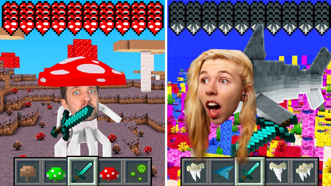 Benx Pilz Kraft vs. Elina Hai Kraft (Minecraft) - Minecraft videos