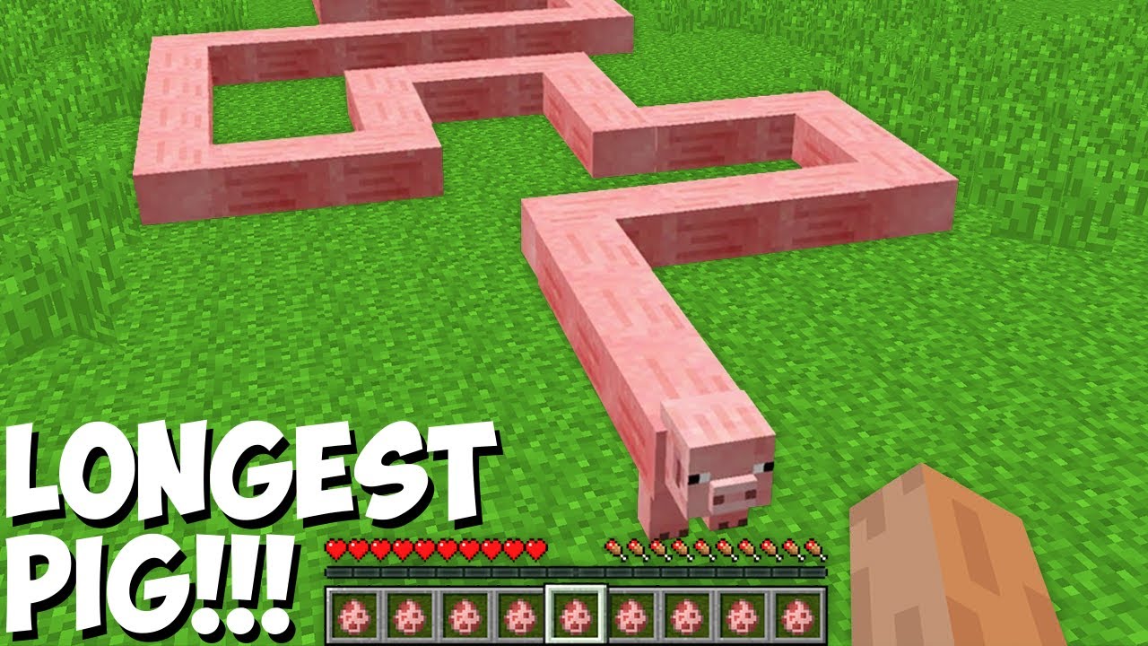 How to SPAWN this LONGEST PIG in Minecraft ? STRANGEST PIG ...
