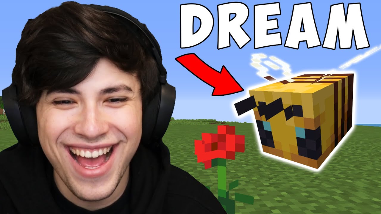 Minecraft, But My Friend Is A Bee... - Minecraft videos