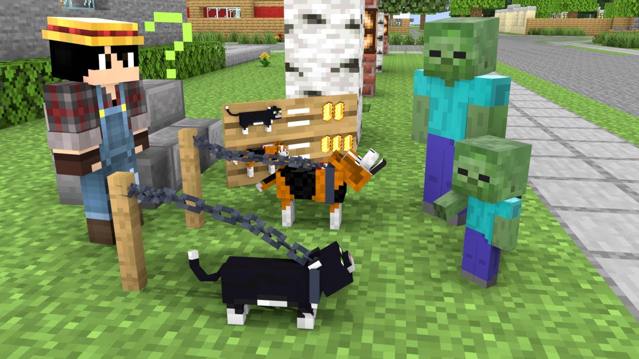 Monster School : BABY ZOMBIE BOUGHT AN EVIL CAT - Minecraft Animation ...