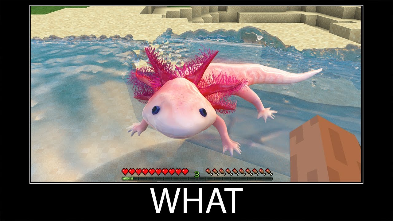 Minecraft wait what meme part 67 realistic minecraft axolotl ...