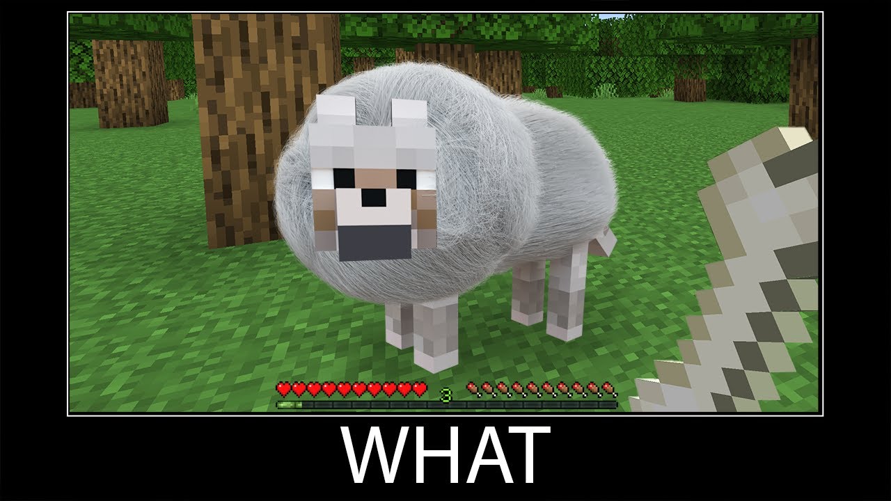 Minecraft wait what meme part 68 realistic minecraft wolf - Minecraft ...