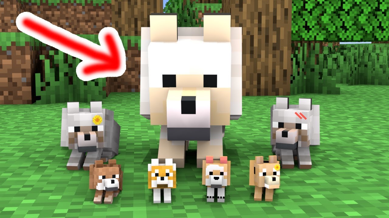 Monster School : A HUGE DOG - Minecraft Animation - Minecraft videos