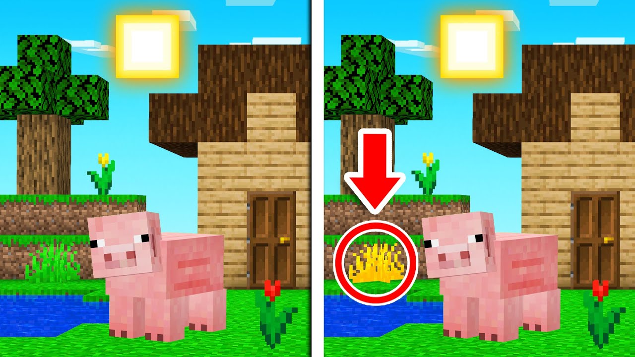 2% Of People Can SPOT THE DIFFERENCE (Minecraft) - Minecraft videos