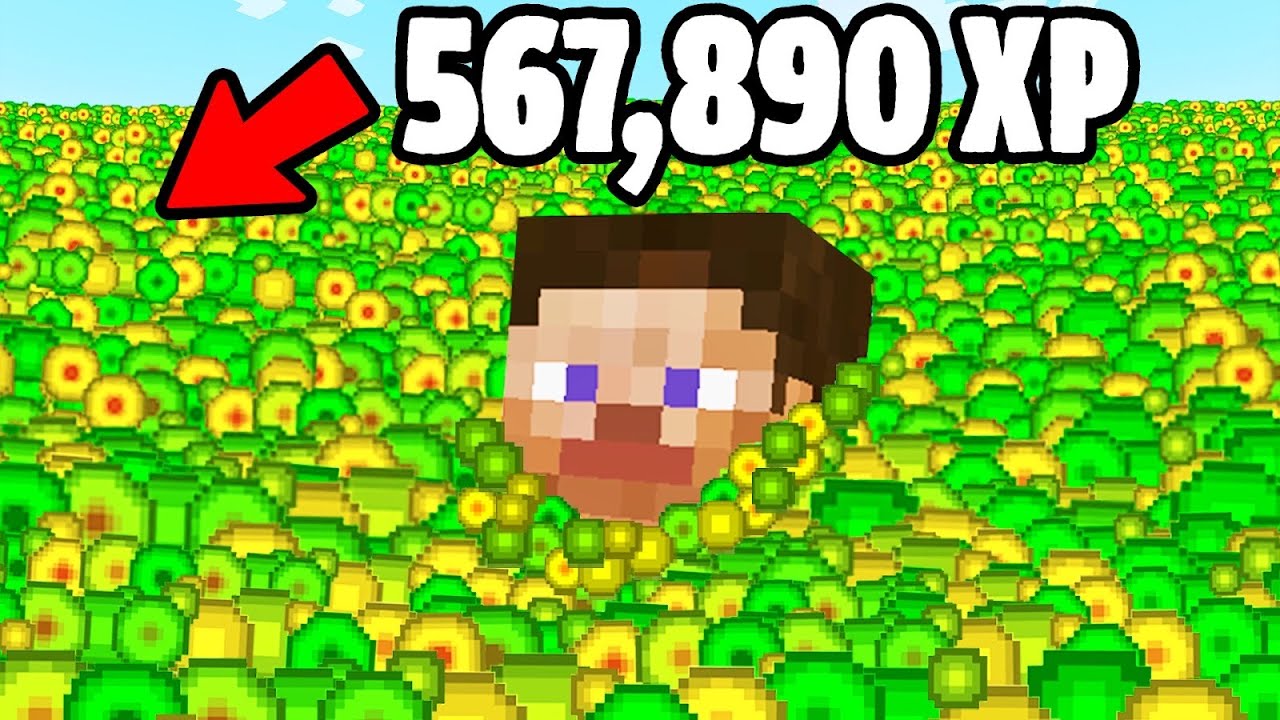 Breaking 22 Minecraft Records in 24 Hours! - Minecraft videos