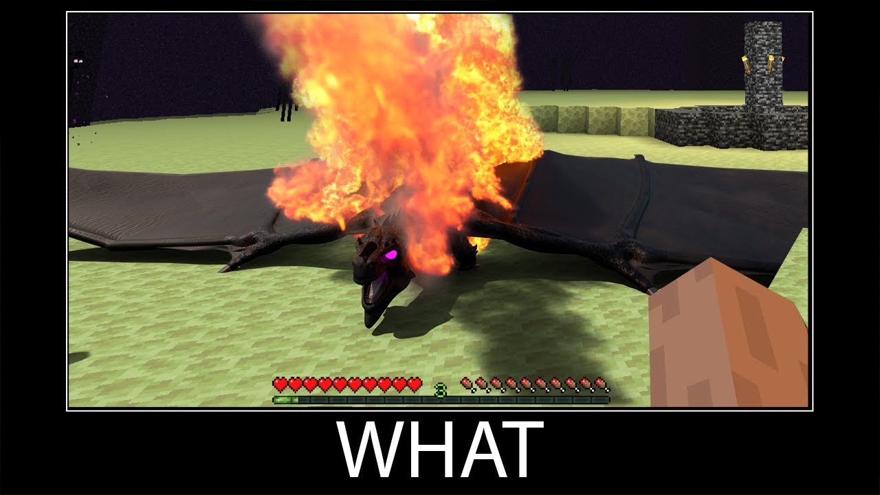 Minecraft wait what meme part 75 realistic minecraft Ender Dragon ...