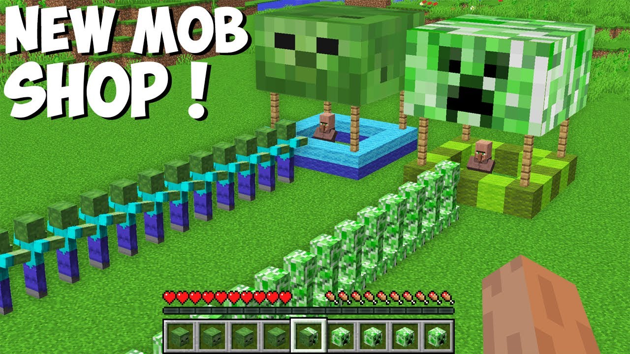Why DID I BUILD SECRET ZOMBIE and CREEPER SHOP in Minecraft ? NEW MOB ...