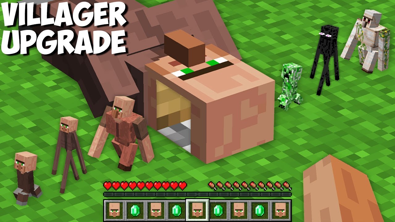 Why did I TRANSFORM ALL MOBS INTO VILLAGER MOBS in Minecraft ...