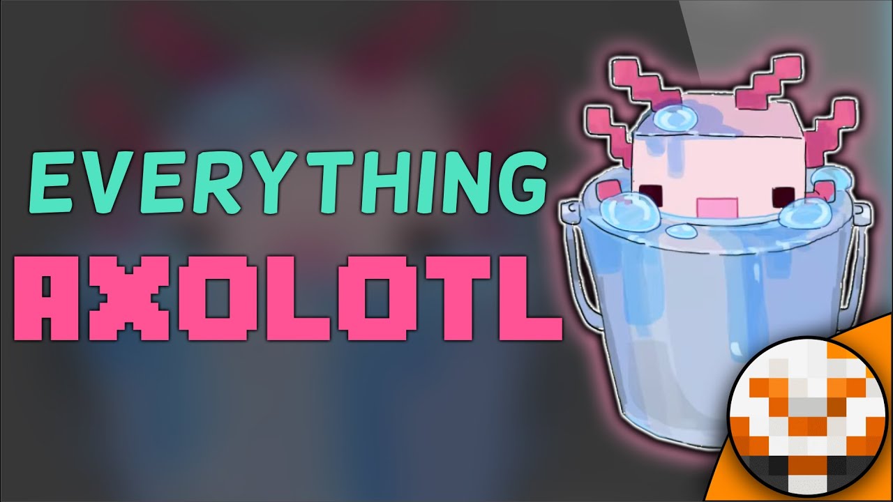 Everything we know about the Axolotl in Minecraft - Minecraft videos