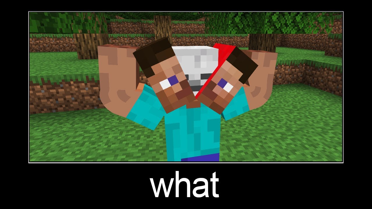 Minecraft wait what meme part 207 (scary head Steve) - Minecraft videos