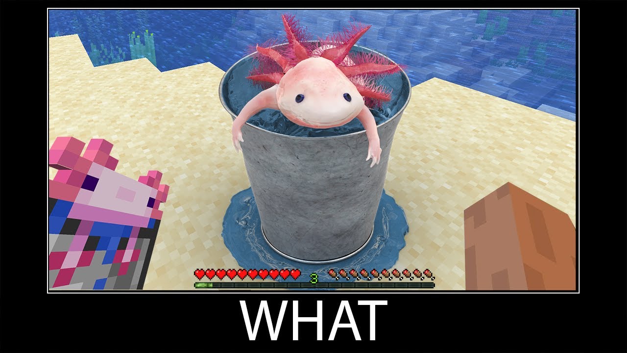 Minecraft wait what meme part 89 realistic minecraft axolotl bucket ...