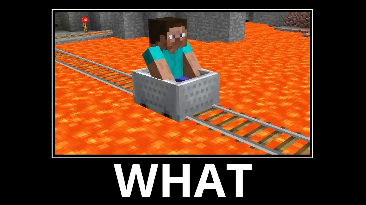 WAIT WHAT (Minecraft) #38 - Minecraft videos