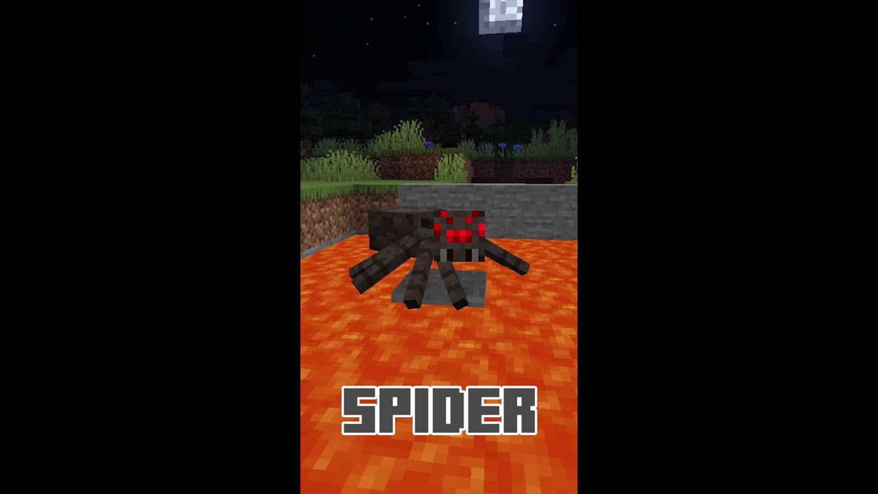 [JAVA EDITION] Mengenal SPIDER di Minecraft! - Minecraft videos