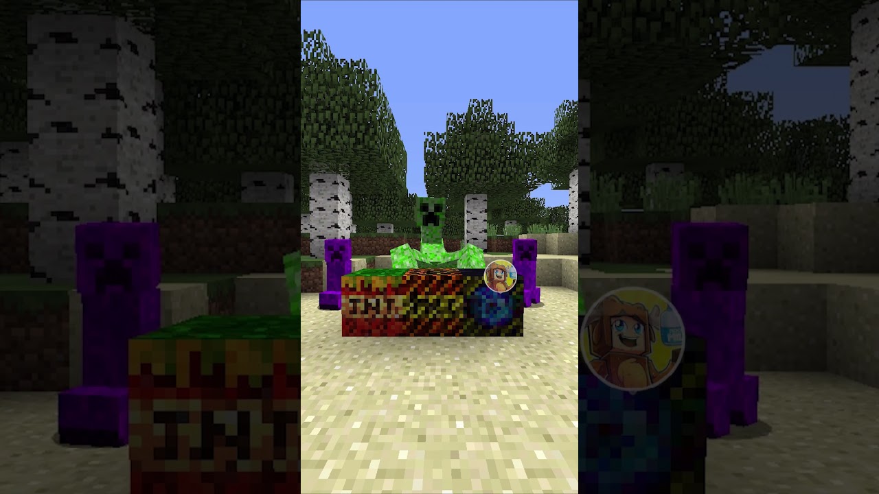 Minecraft: CREEPER TNT EXPLOSIONS! #shorts - Minecraft videos