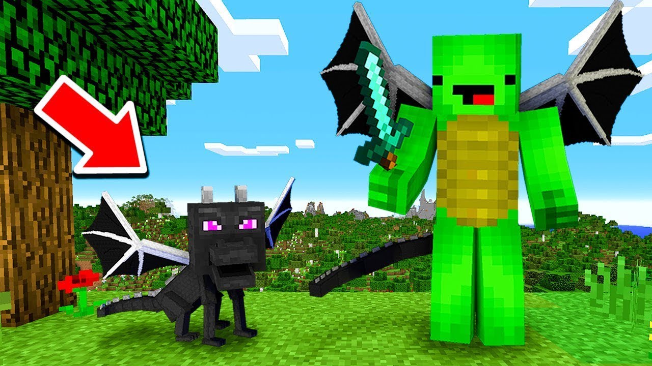Playing Minecraft As A BABY ENDER DRAGON - Minecraft videos