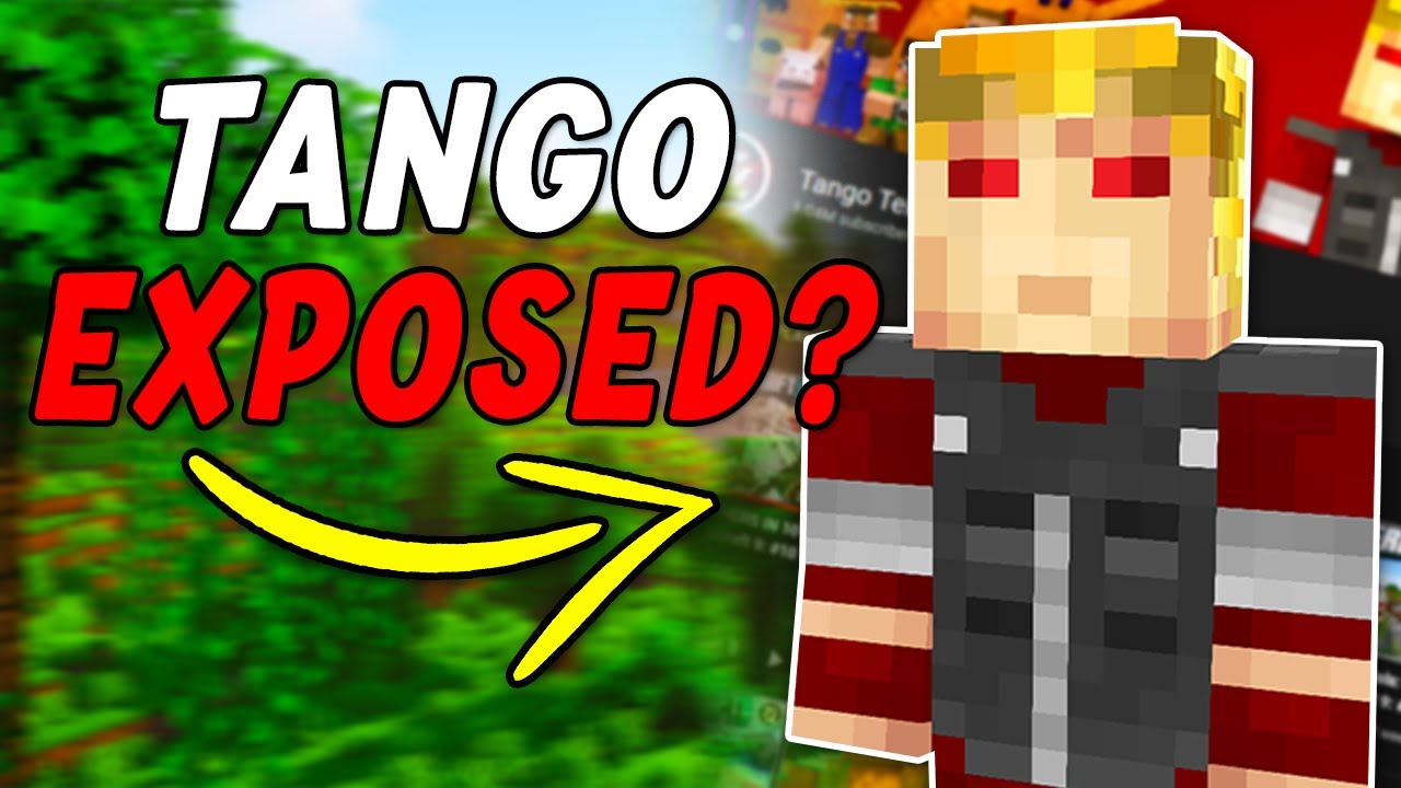 Tango Is Stealing Minecraft Builds? - Minecraft videos