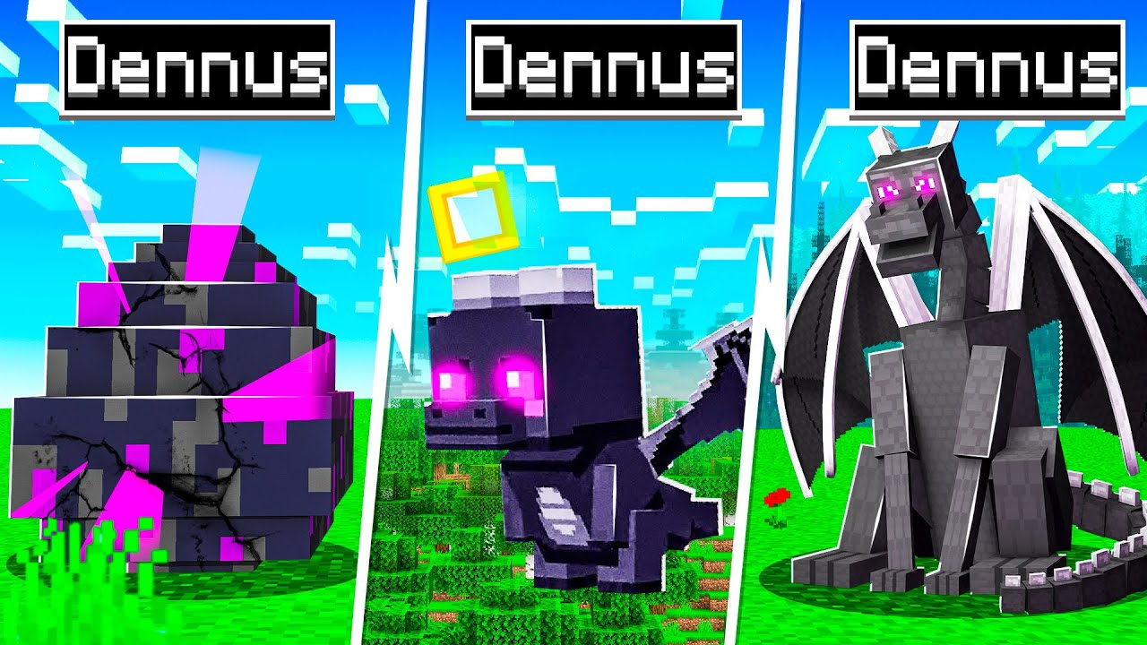 Van 0 Naar 100 JAAR Als DRAAK In MINECRAFT! - Minecraft videos