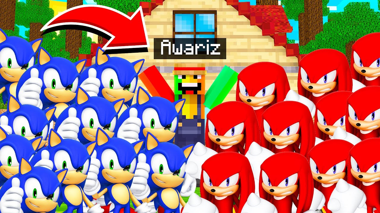 1000 SONIC 2 Et 1000 KNUCKLES ATTAQUE MA MAISON Sur MINECRAFT ...