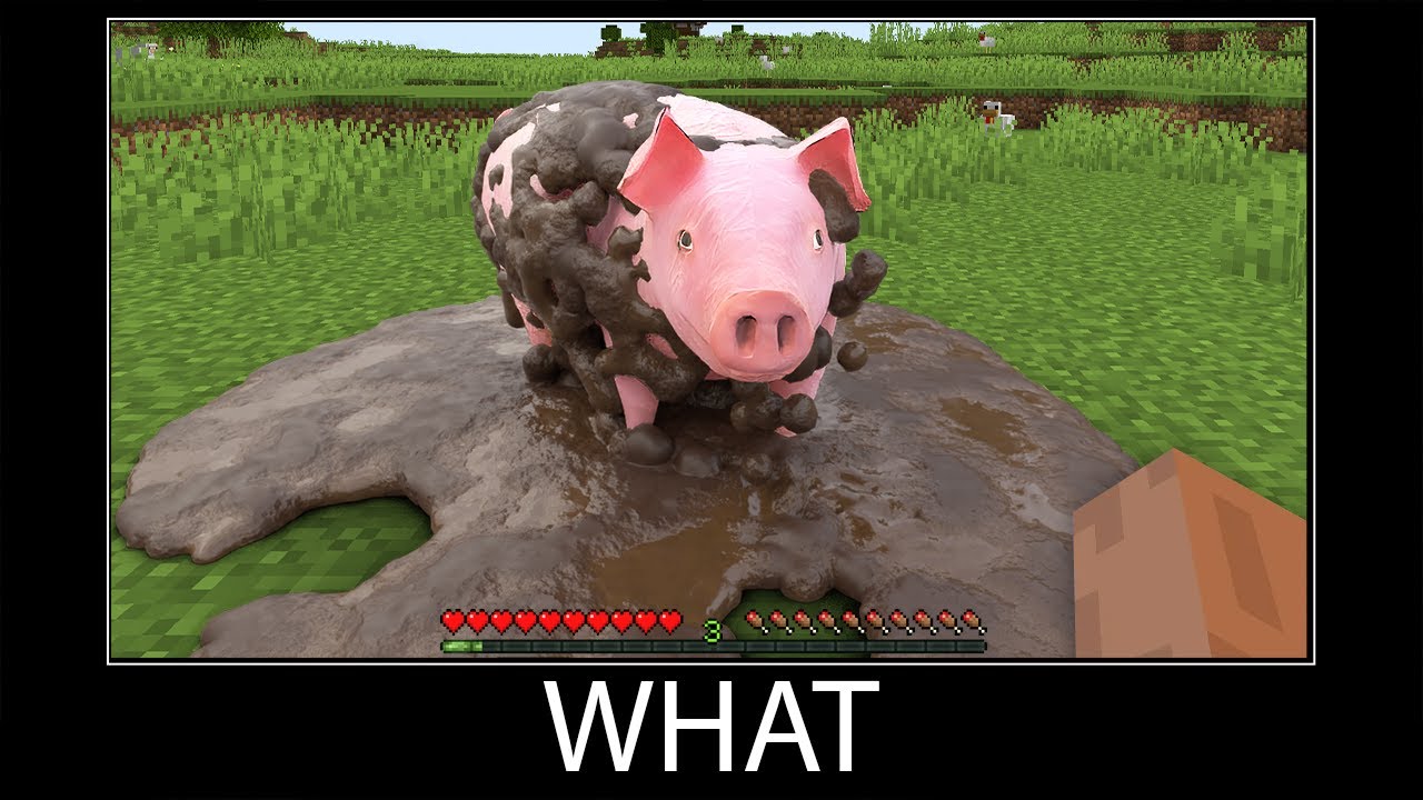 Minecraft wait what meme part 140 realistic minecraft Dirt and Pig ...