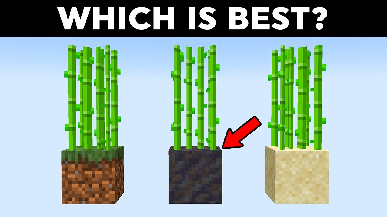 20 Minecraft Block Facts You Maybe Didn't Know - Minecraft videos