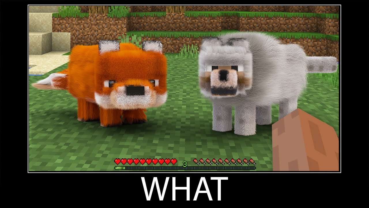 Minecraft wait what meme part 149 realistic minecraft fox and wolf ...