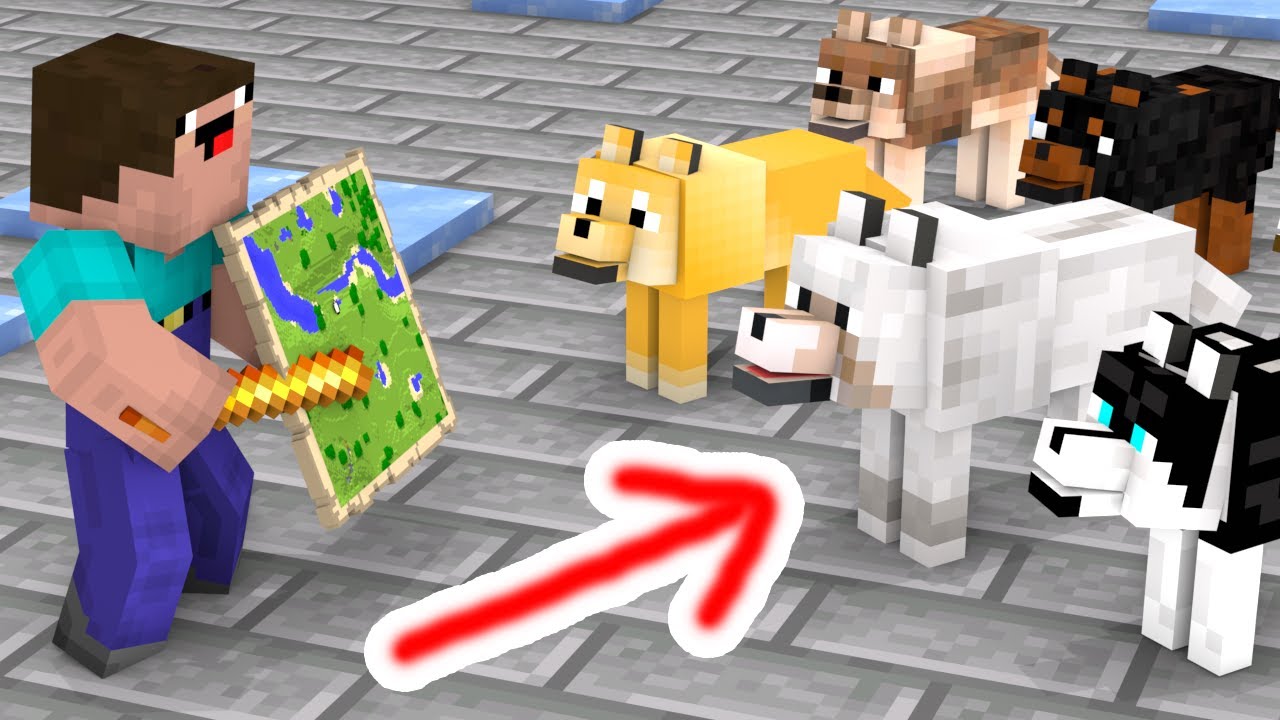 Monster School : A Dog's Adventure - Minecraft Animation - Minecraft videos