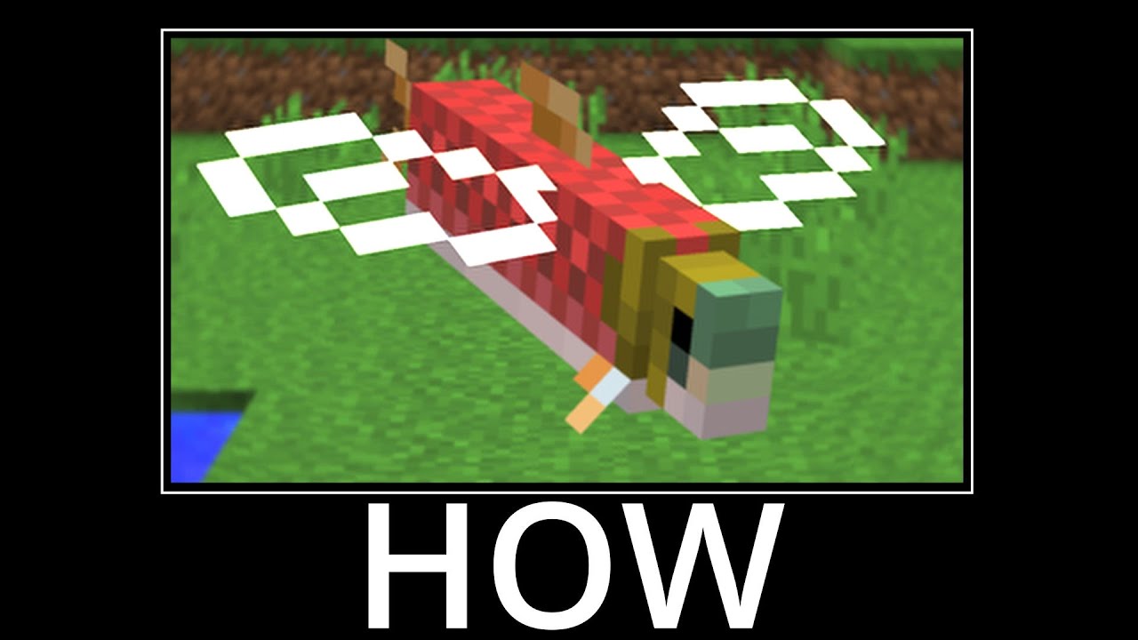 WAIT WHAT (Minecraft) #55 - Minecraft videos