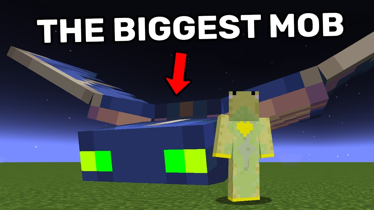 What Are The Biggest Minecraft Things? - Minecraft videos