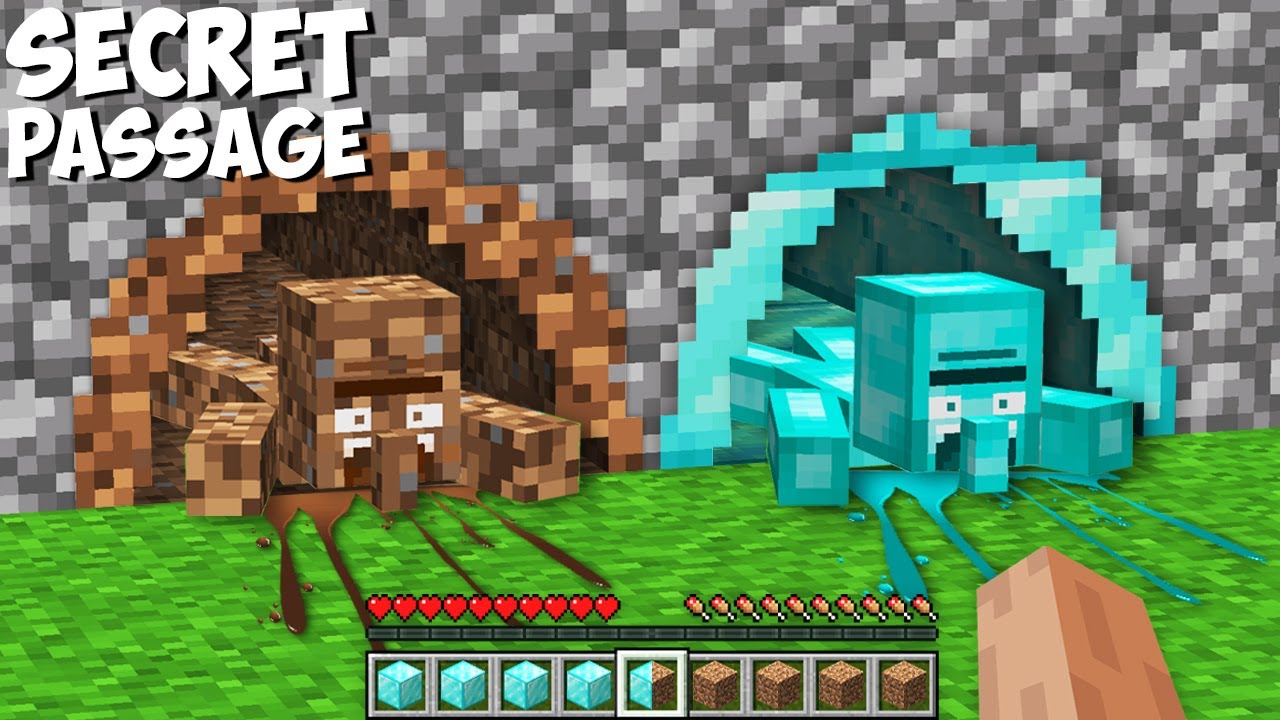 Who DRAGGED THE DIAMOND vs DIRT VILLAGERS INTO THIS TUNNELS in ...
