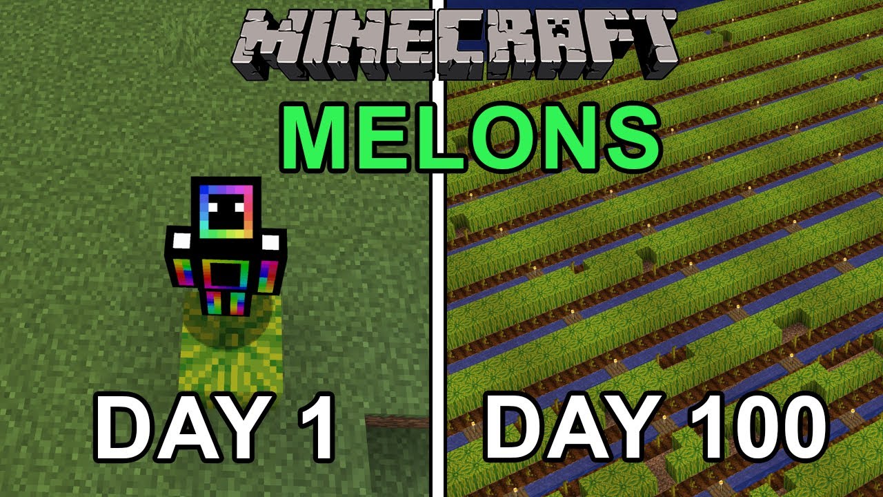 I Farmed Melons for 100 Days in Minecraft - Minecraft videos