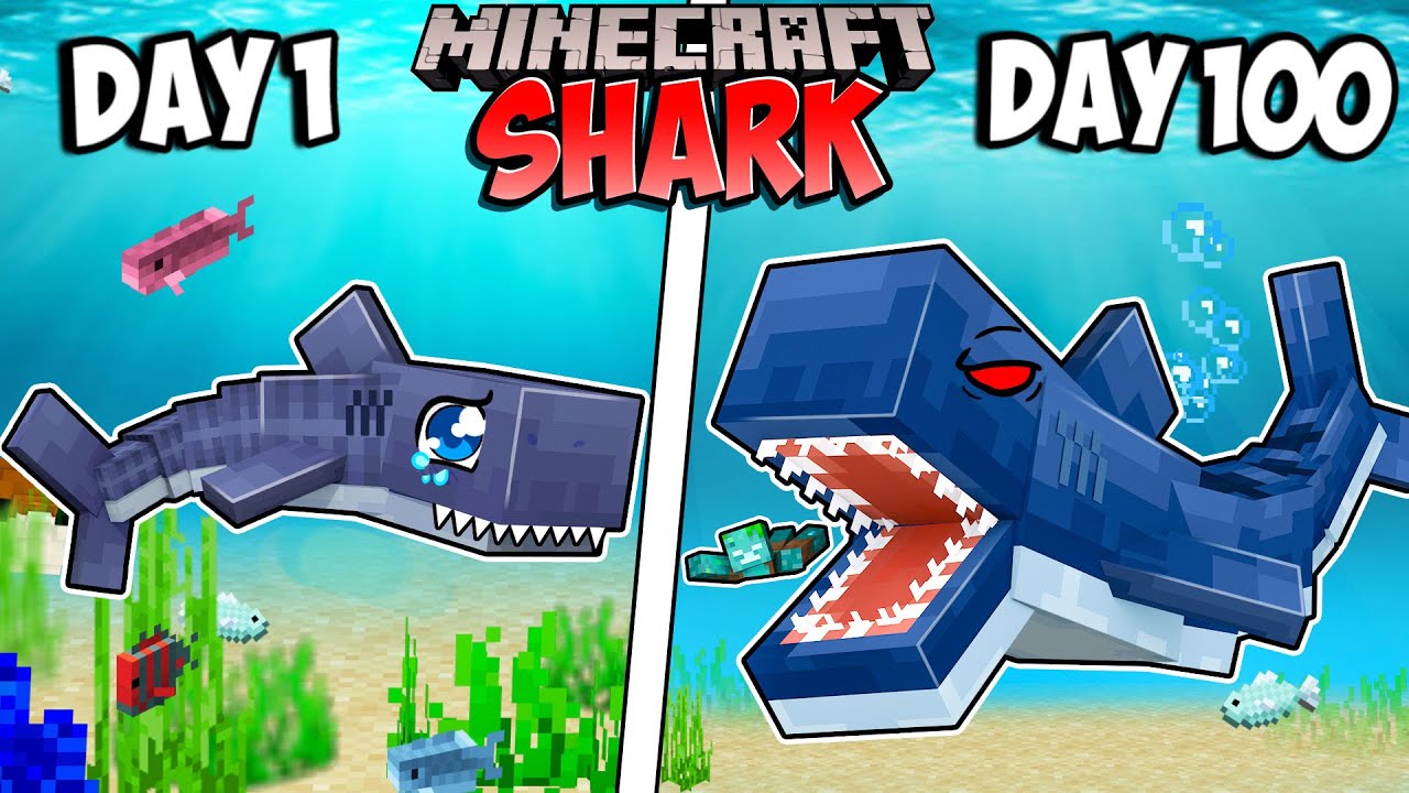 I Survived 100 Days as a SHARK in Minecraft - Minecraft videos