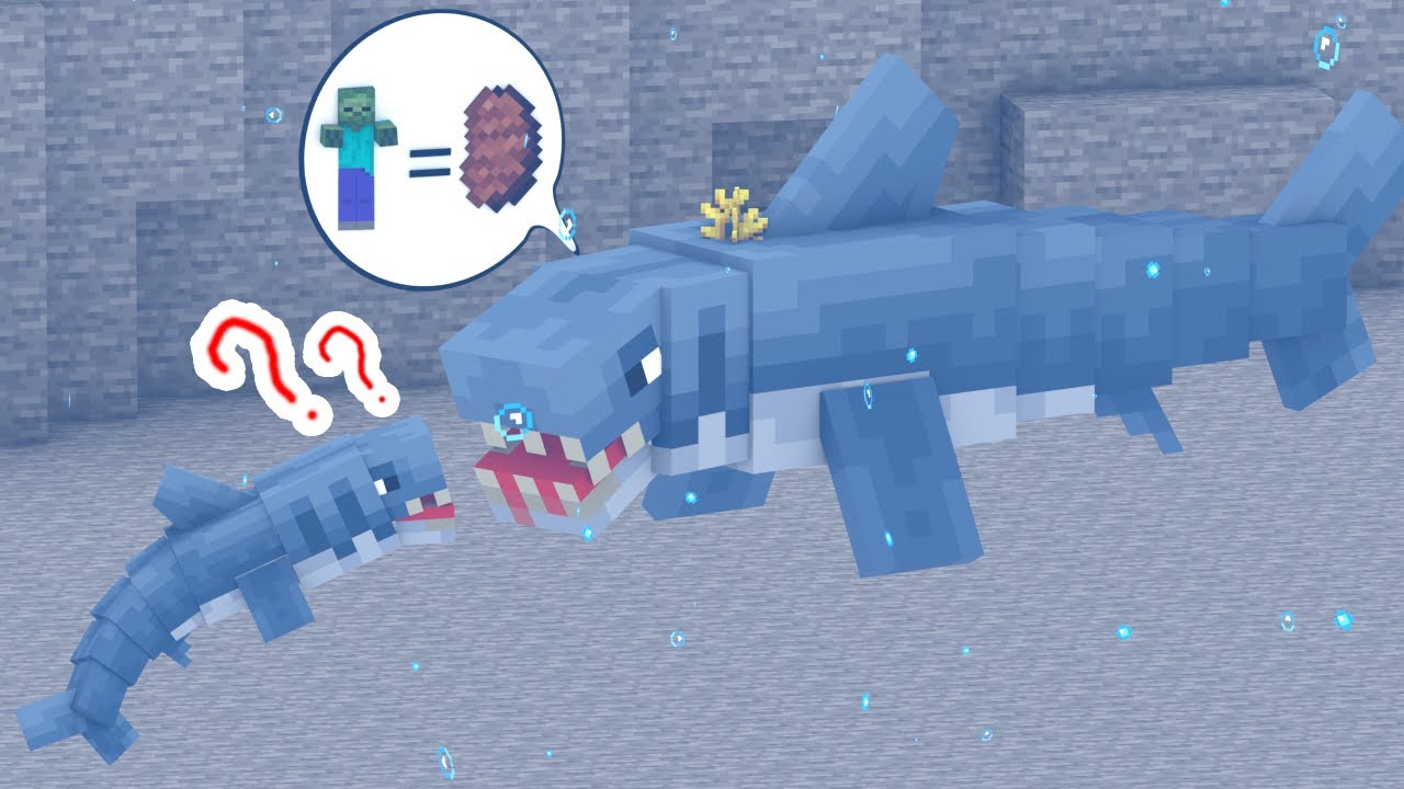 Monster School : The Angry Shark - Minecraft Animation - Minecraft videos