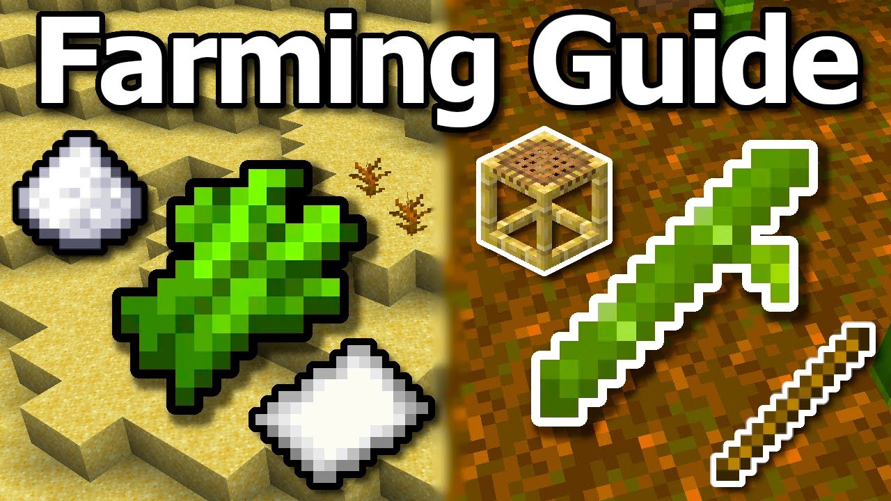 The Ultimate Minecraft 1.19 Sugarcane & Bamboo Farming Guide ... The Ultimate Minecraft 1.19 Sugarcane & Bamboo Farming Guide ...