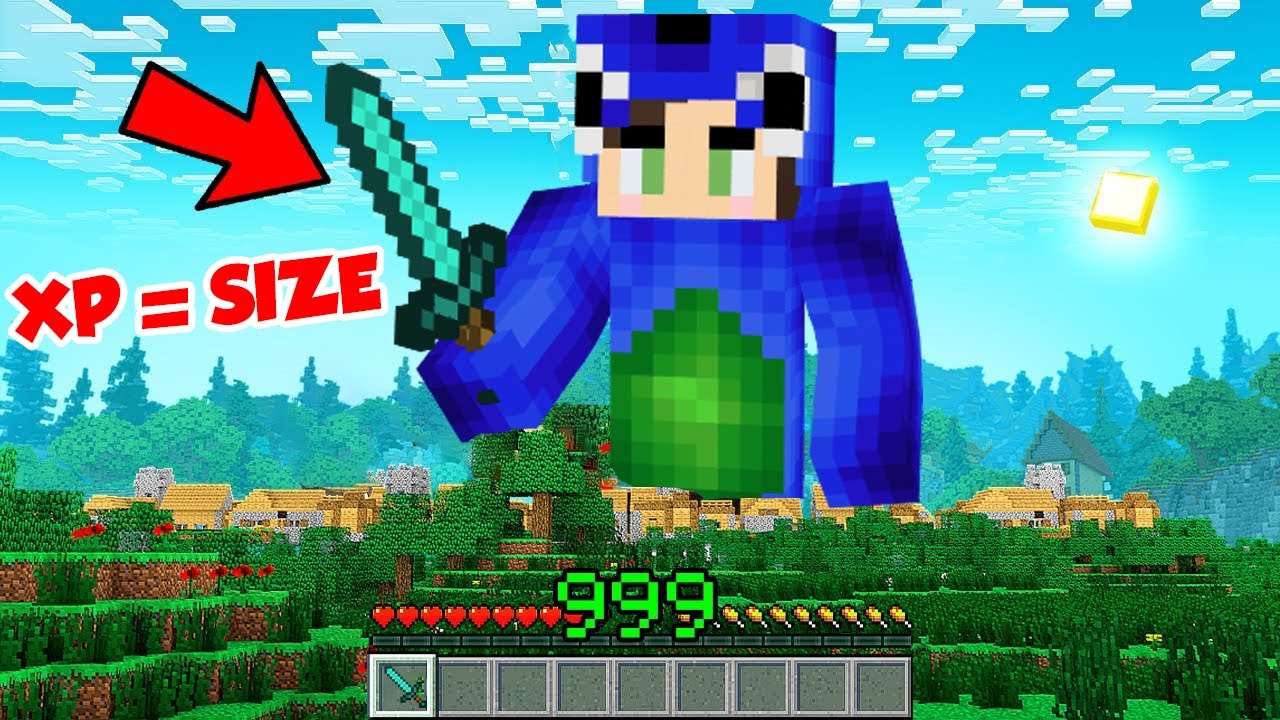 Minecraft, But Your XP = Your Size.... - Minecraft videos