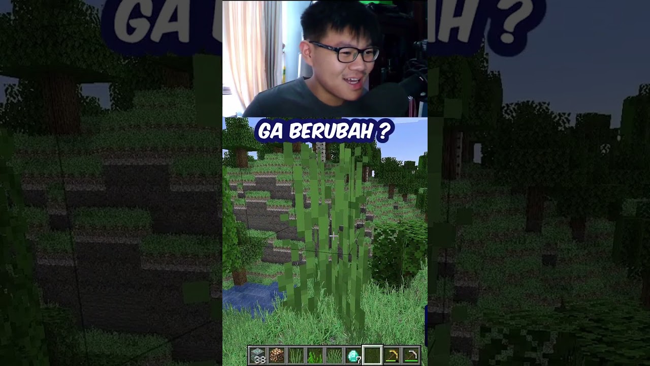 Minecraft Rumput Paling Realistis Ini Sangat Gila - Minecraft videos