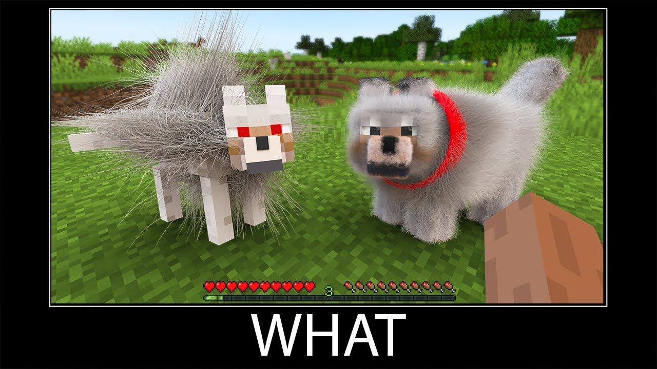 Minecraft wait what meme part 164 minecraft wolf and dog - Minecraft videos