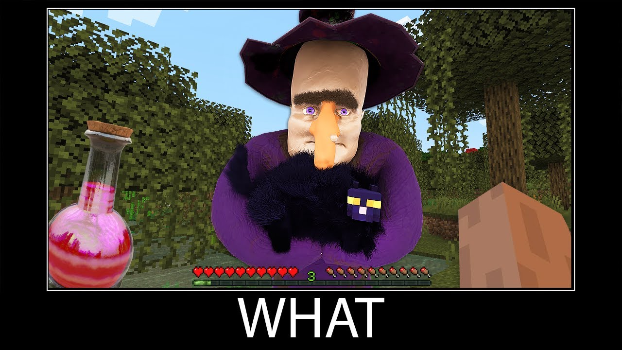 Minecraft Wait What Meme Part 171 Realistic Minecraft Witch Minecraft
