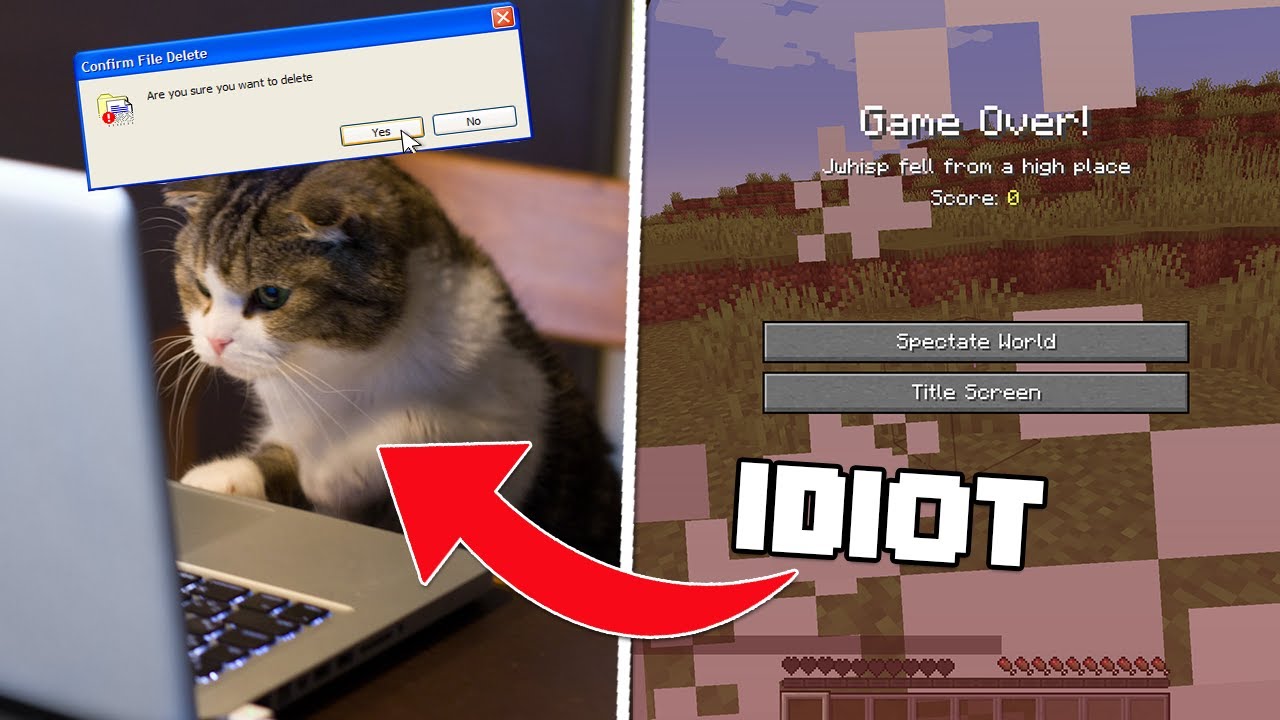My Cat Deleted My Hardcore Minecraft World... - Minecraft videos