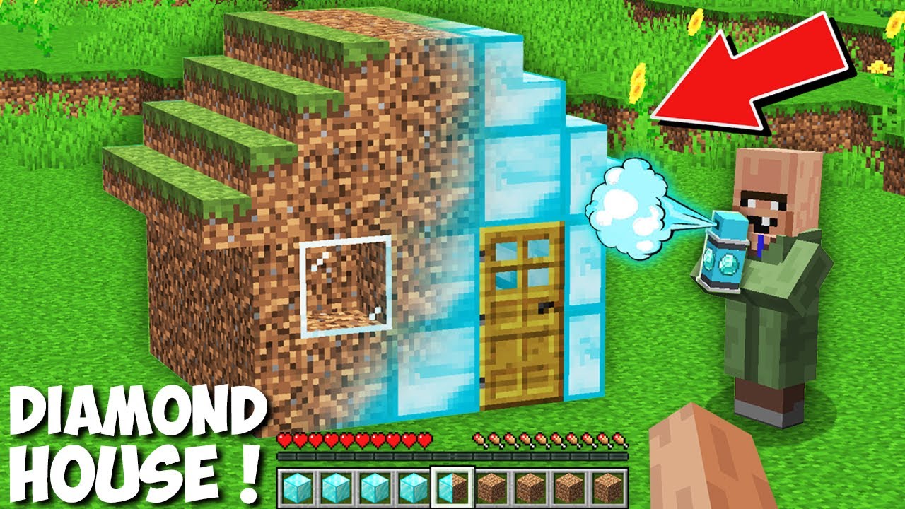 Why did this NOOB VILLAGER PAINT HIS DIRT HOUSE IN DIAMOND HOUSE in ...