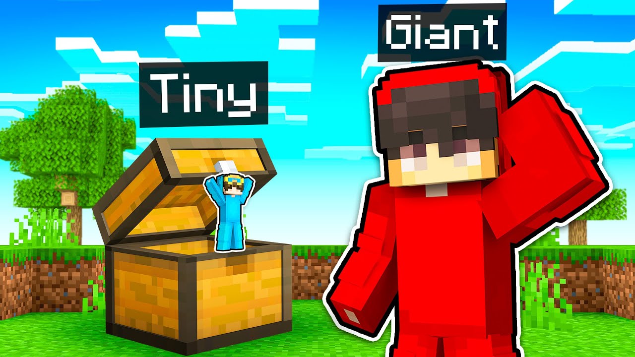 GIANT vs TINY Minecraft Hide and Seek! - Minecraft videos