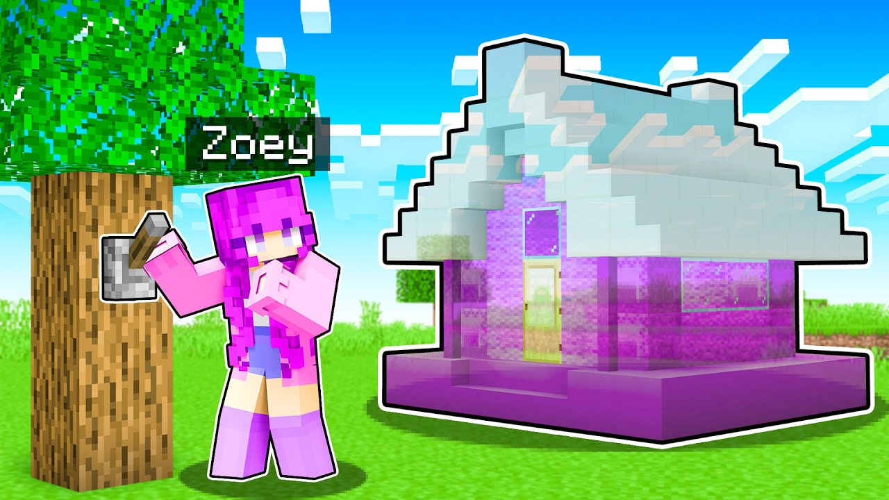 I Found Zoey's SECRET Minecraft House! - Minecraft videos