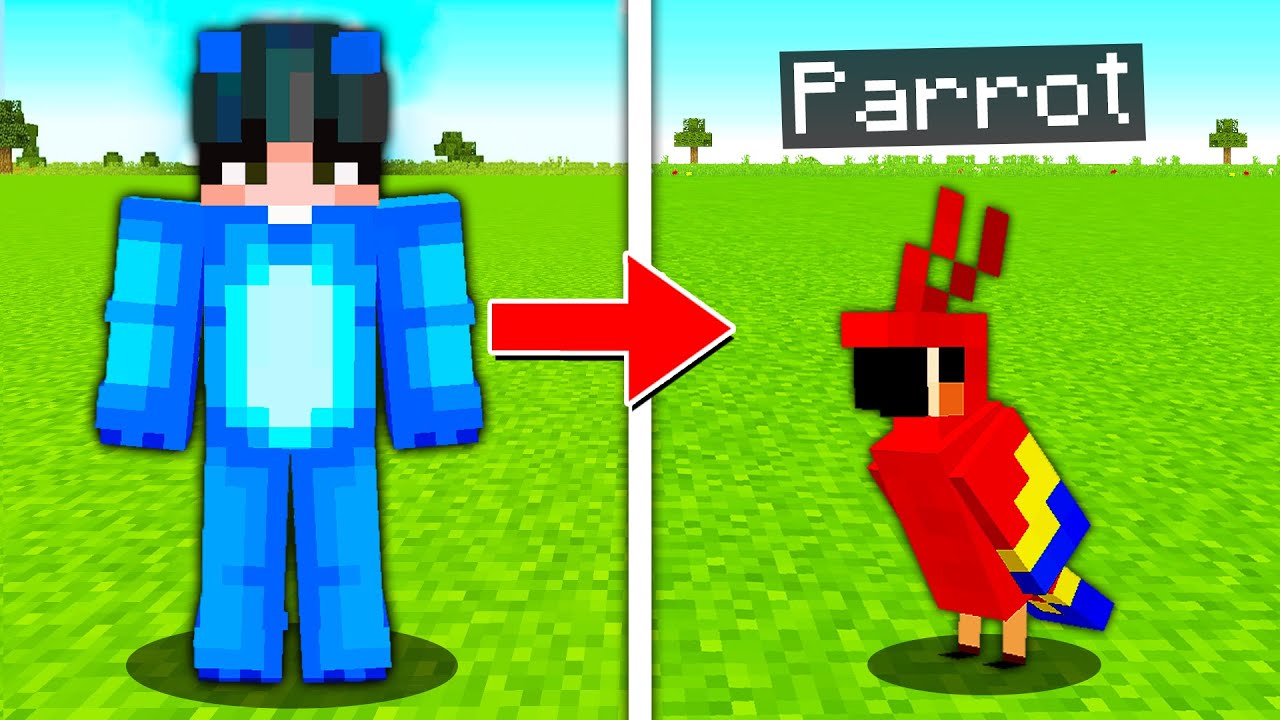 I Pranked My Friend as a Parrot in Minecraft! - Minecraft videos