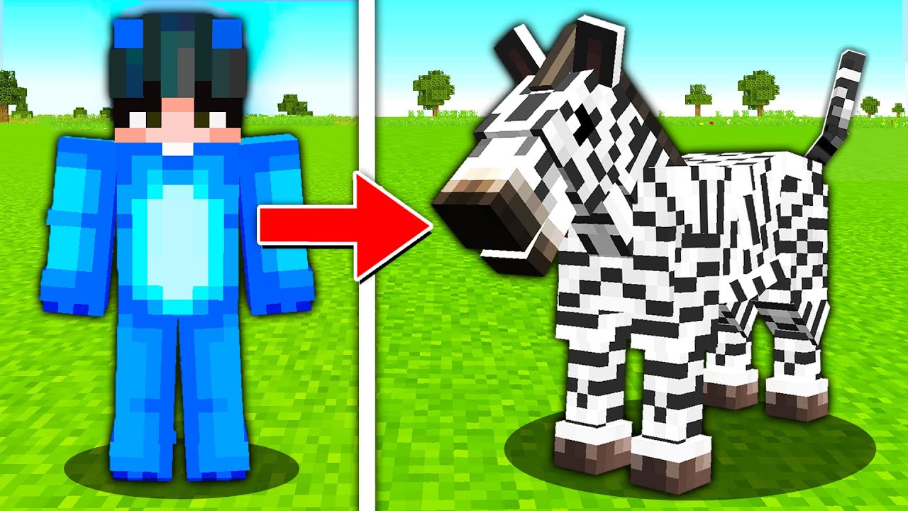 I Pranked My Friend as a Zebra in Minecraft! - Minecraft videos