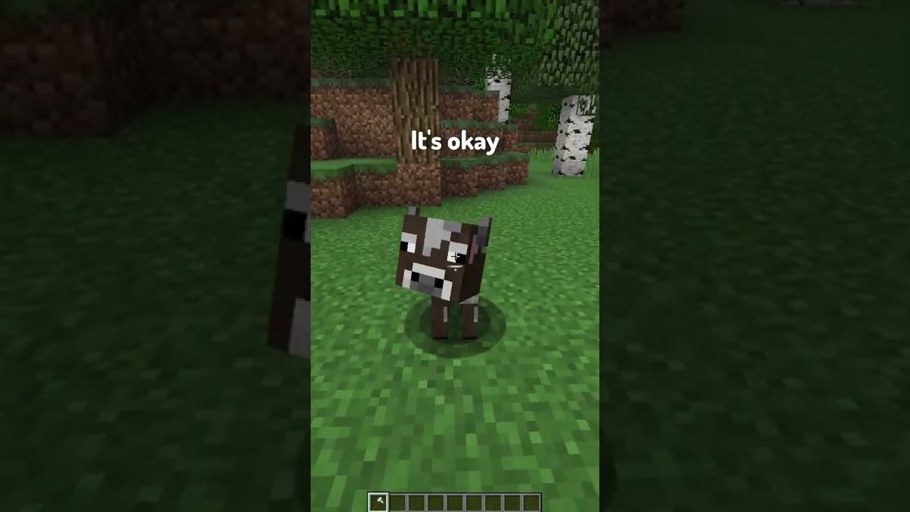 If Animals Could Talk In Minecraft - Minecraft videos