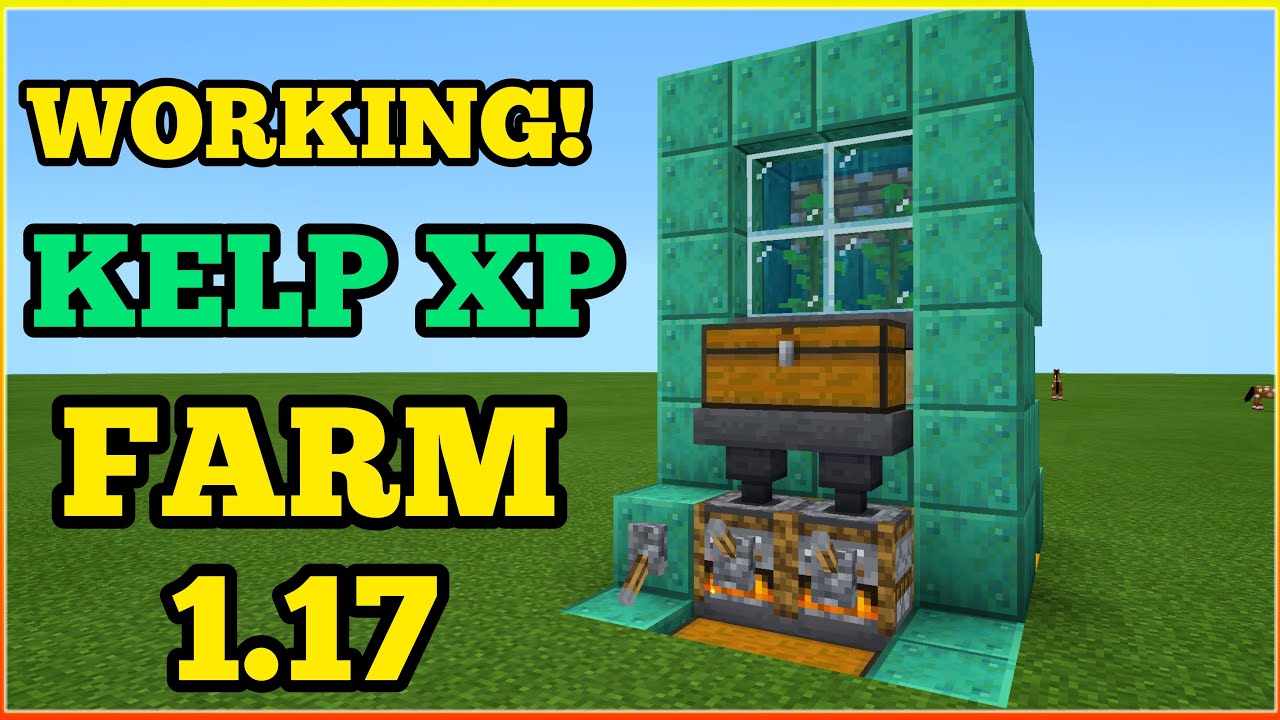 MINECRAFT 1.17 KELP XP FARM | Caves and cliffs update Bedrock [UPDATED ...