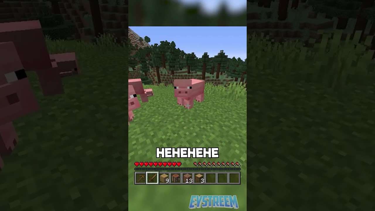 Minecraft if Mobs could Talk - Minecraft videos