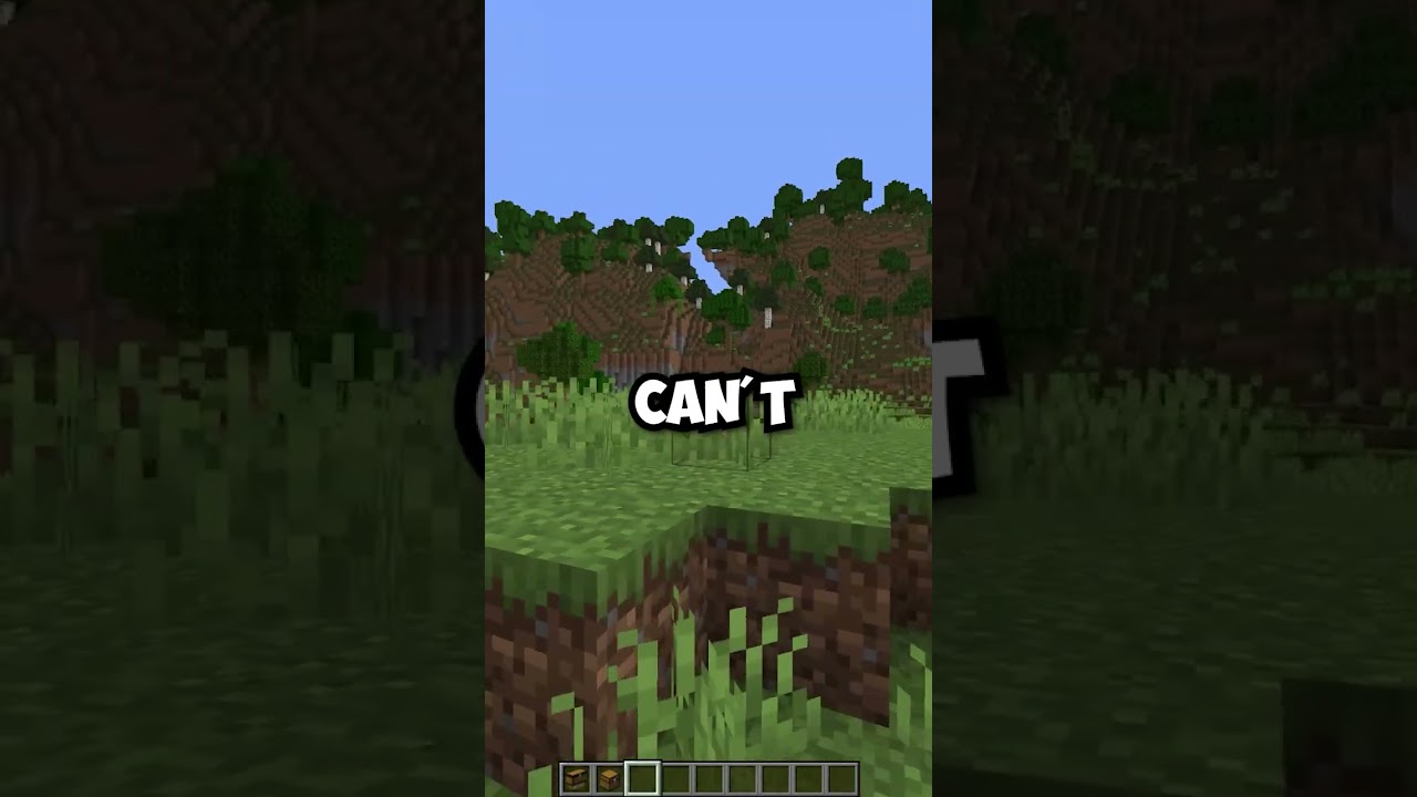 This New Minecraft Chest Is Uhh... - Minecraft videos