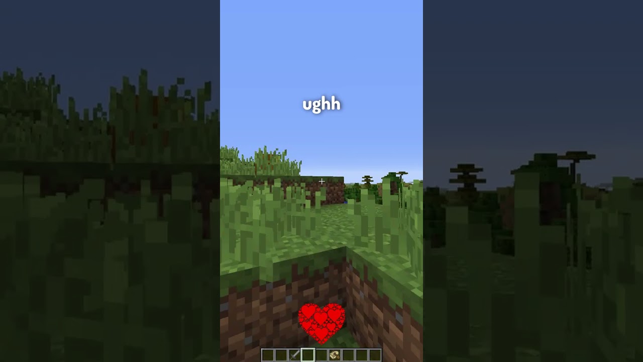 Types of Minecraft Players in Villages - Minecraft videos